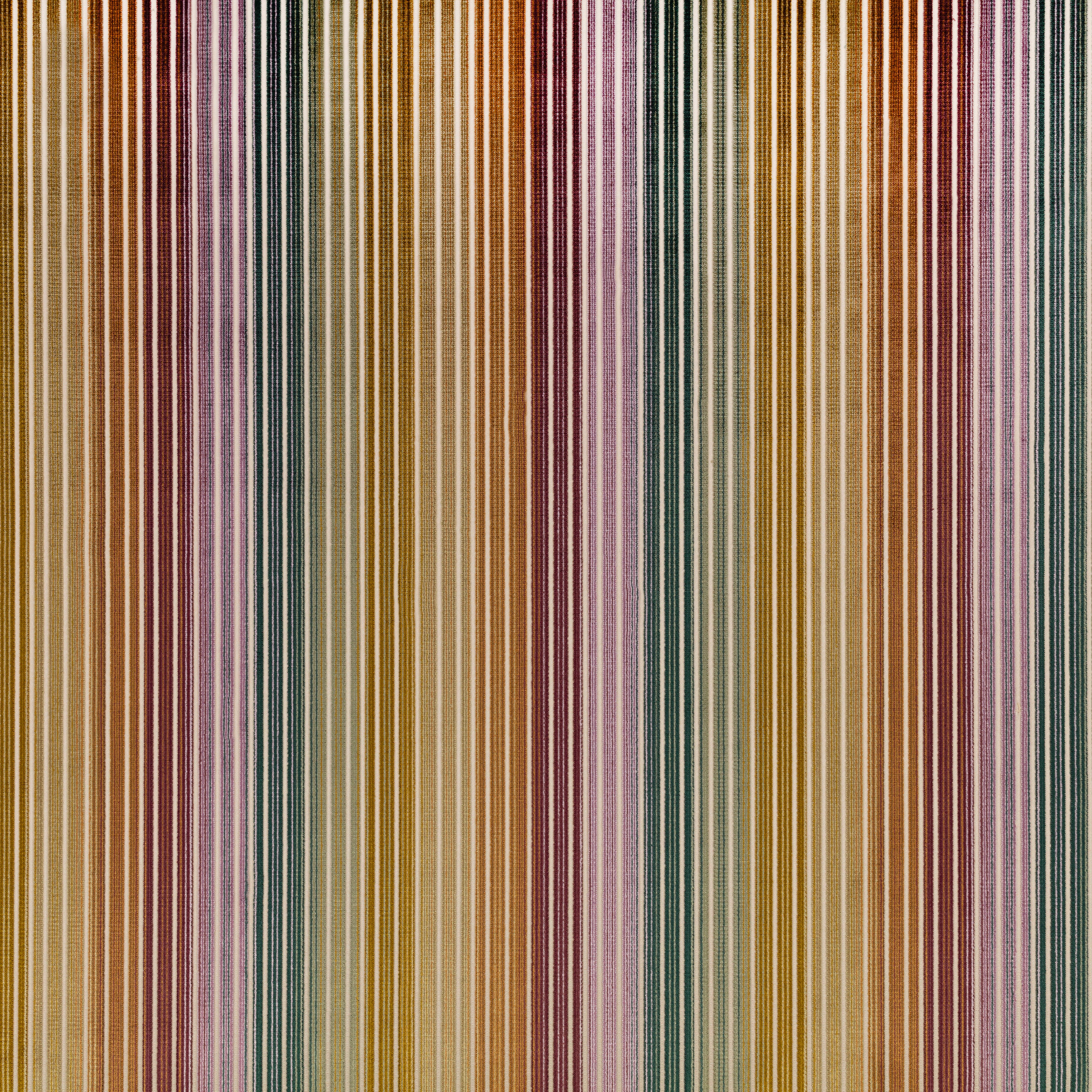 Edu Fig | Zephi | Striscia velluto Epingle | Romo Fabrics