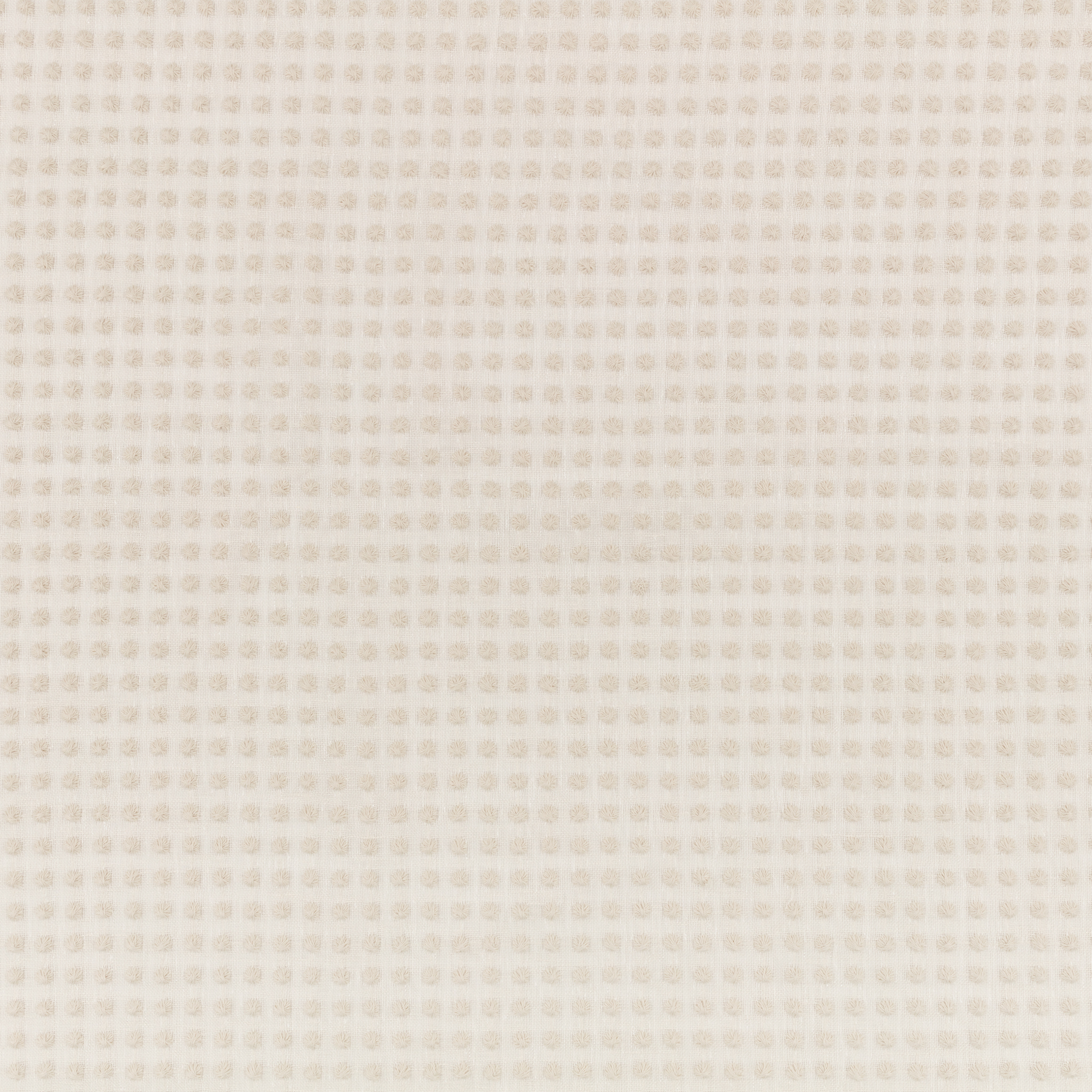 Audley Birch | Abloom | Bestickter doppelt-breiter Transparent | Villa Nova