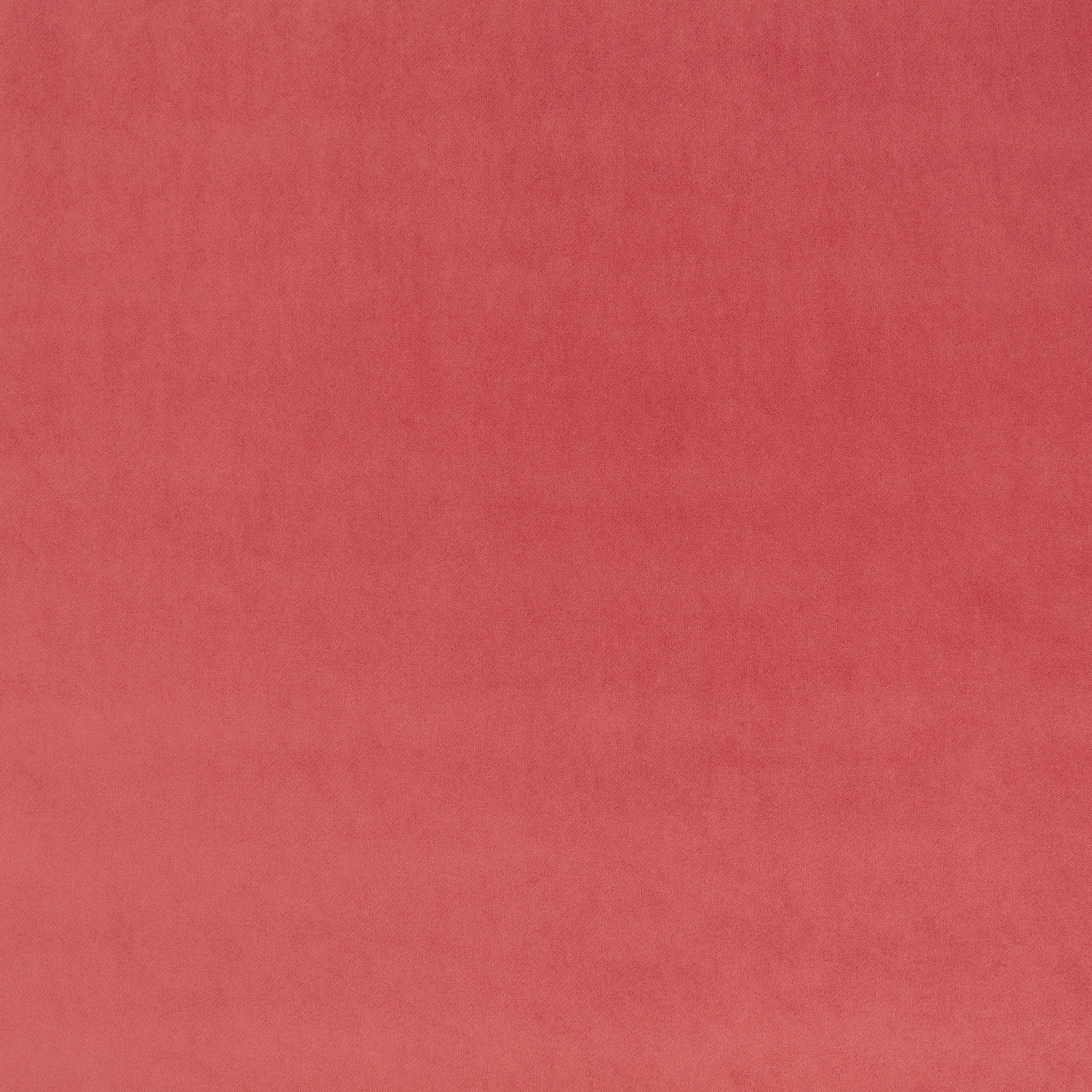 Atil II Hibiscus | Atil II | EasyClean Velvet | Villa Nova