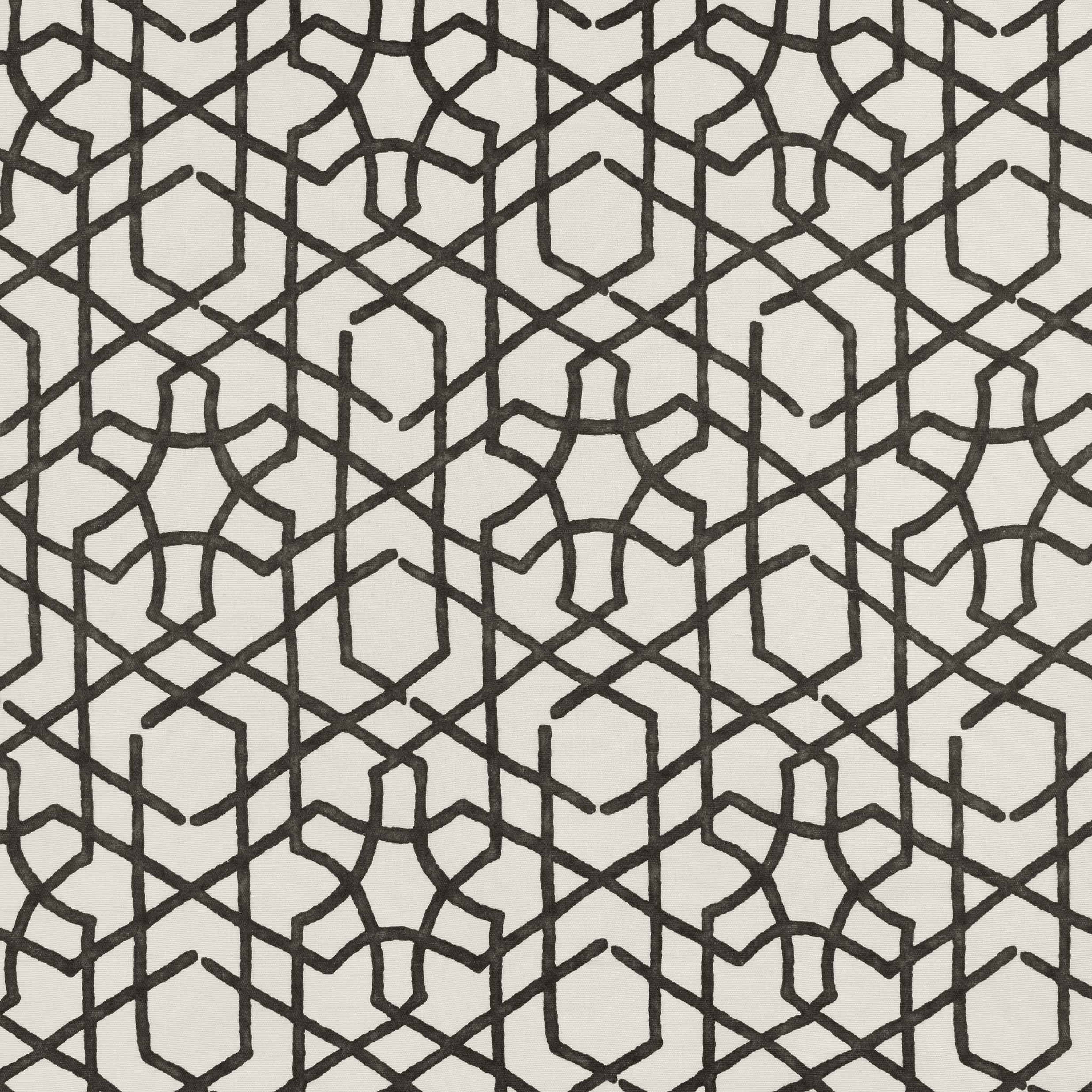 Phibblestown Carbon | Chiaroscuro | Printed Linen | Zinc Textile