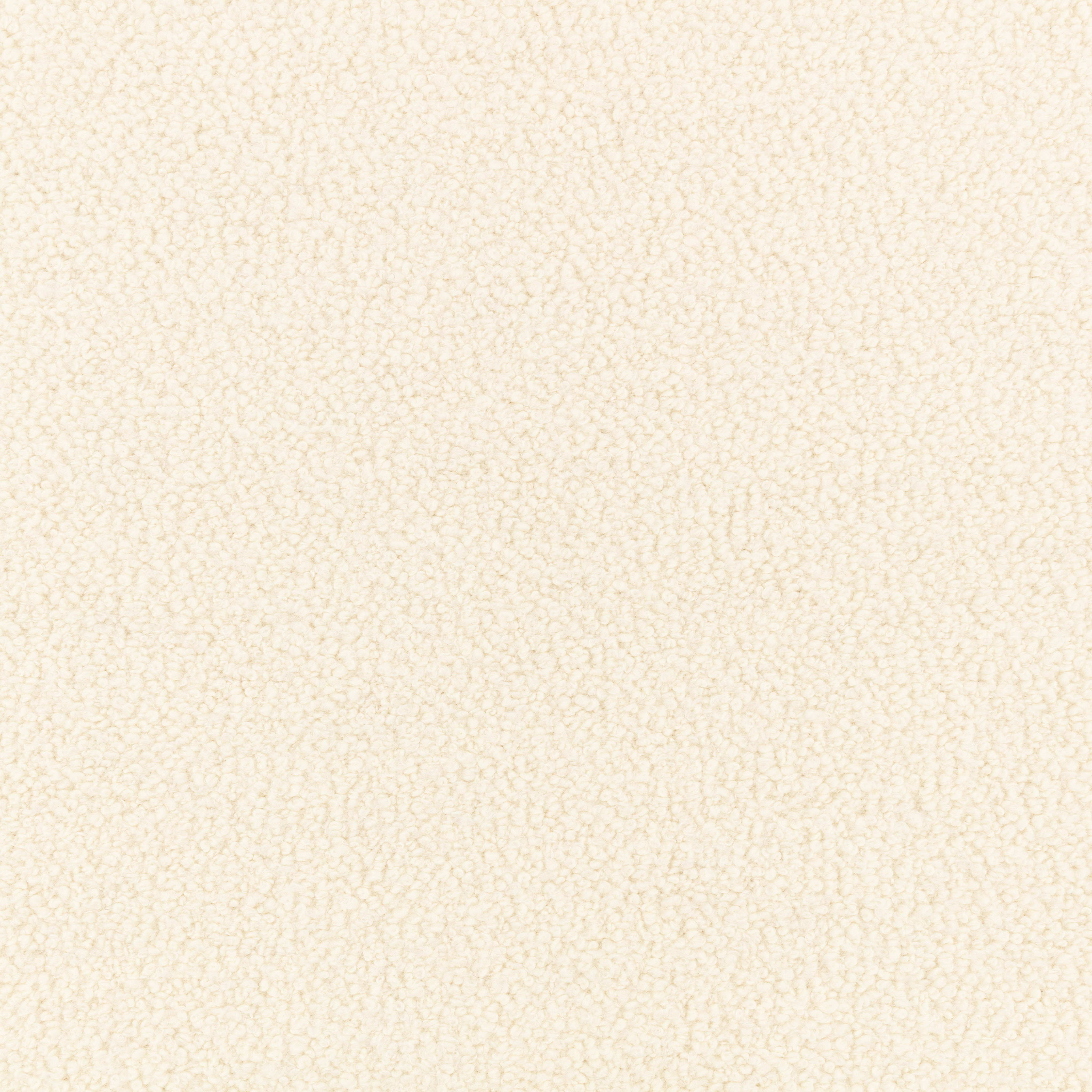 Poodle Moonbeam | Dieter Vander Velpen Textures | Zinc Textile