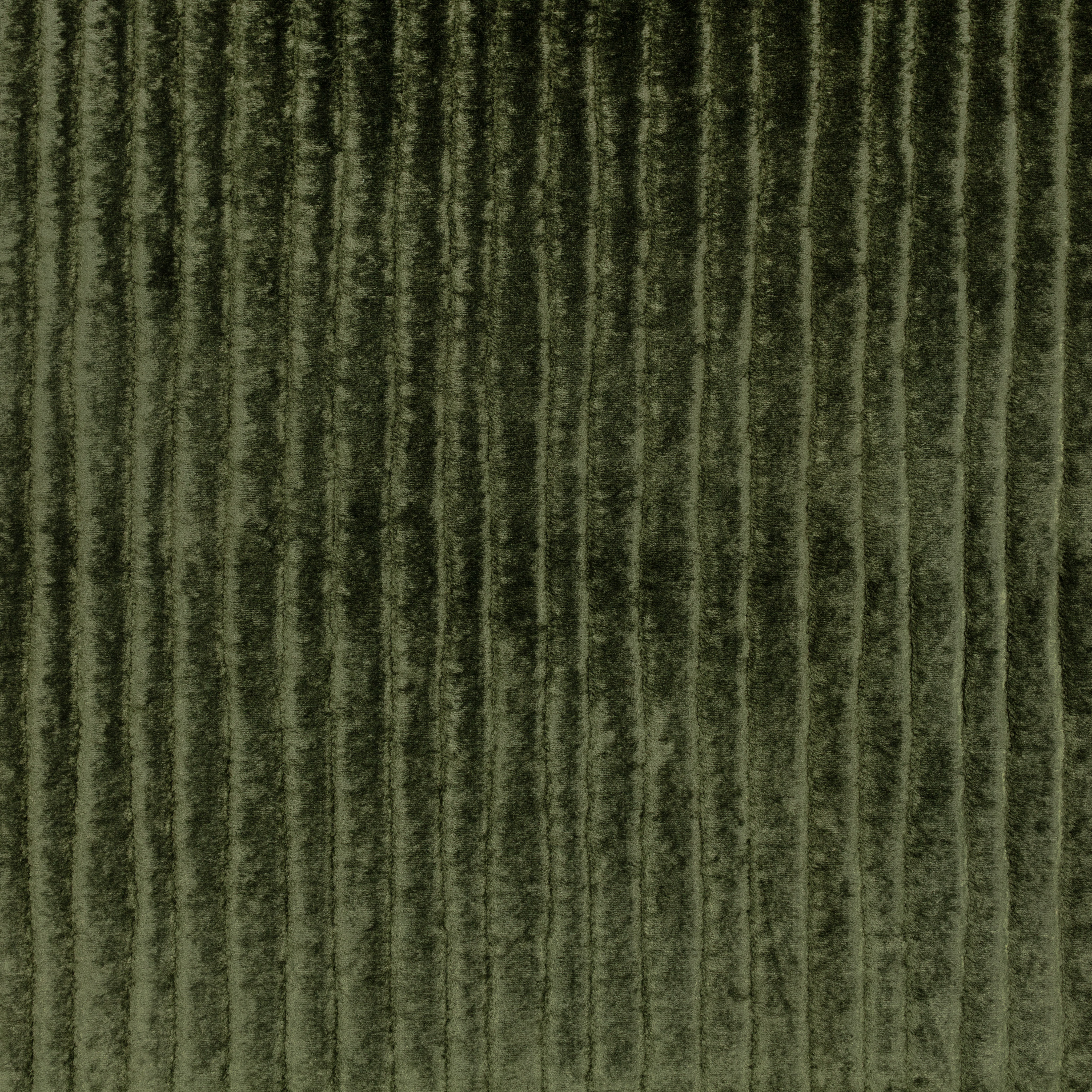 Kowloon Racing | Dieter Vander Velpen Velvets | Jumbo Cord Velvet ...